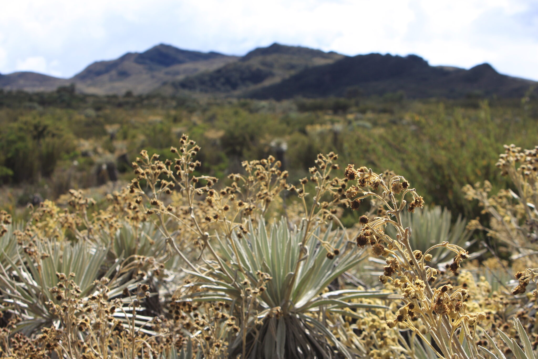 ¿Dónde queda el Embalse de Chuza? Así puede visitarlo