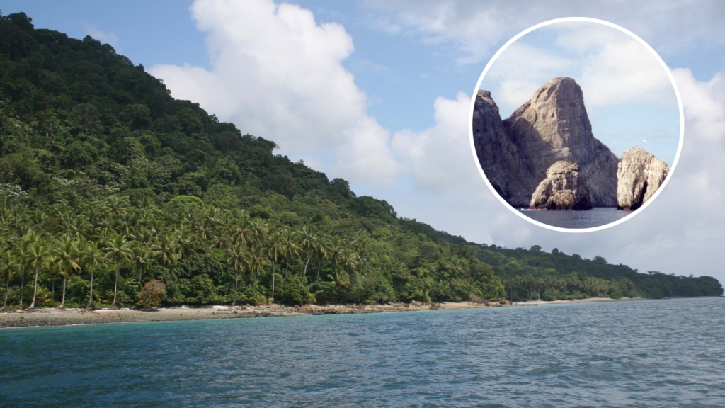 Qué es más barato: ¿ir a Malpelo o Gorgona? Precios y planes en estas islas